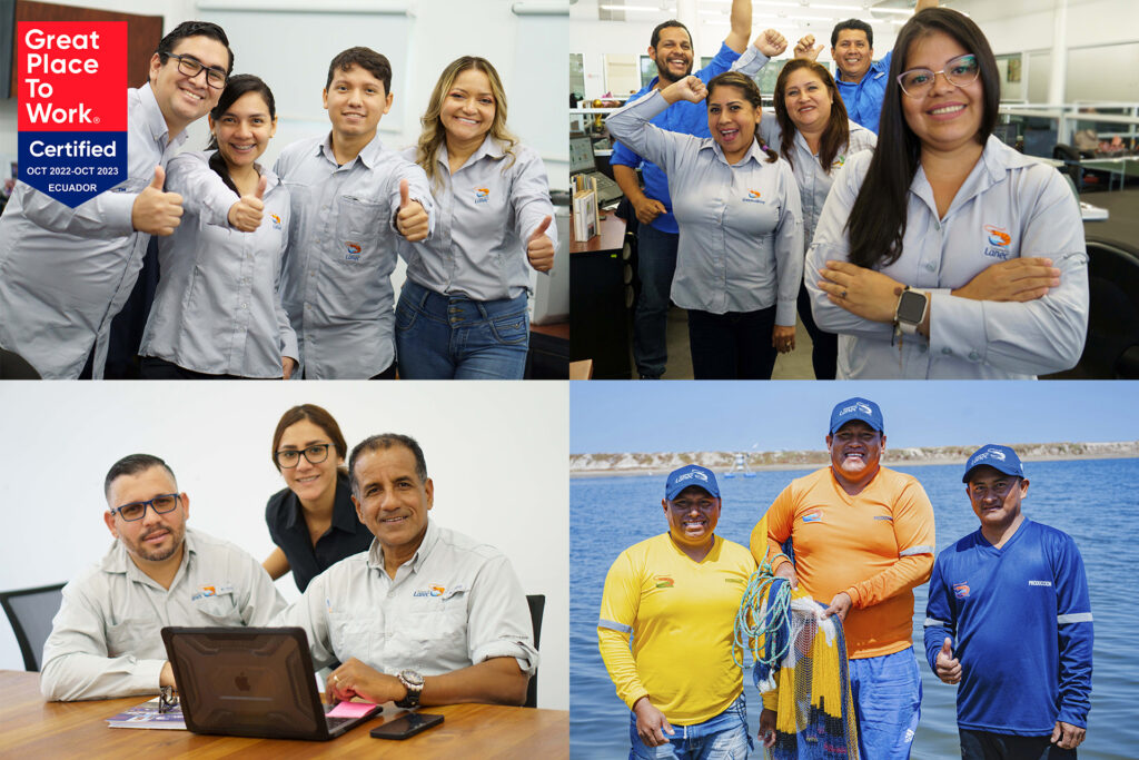 Noticias | Corporación Lanec S. A.